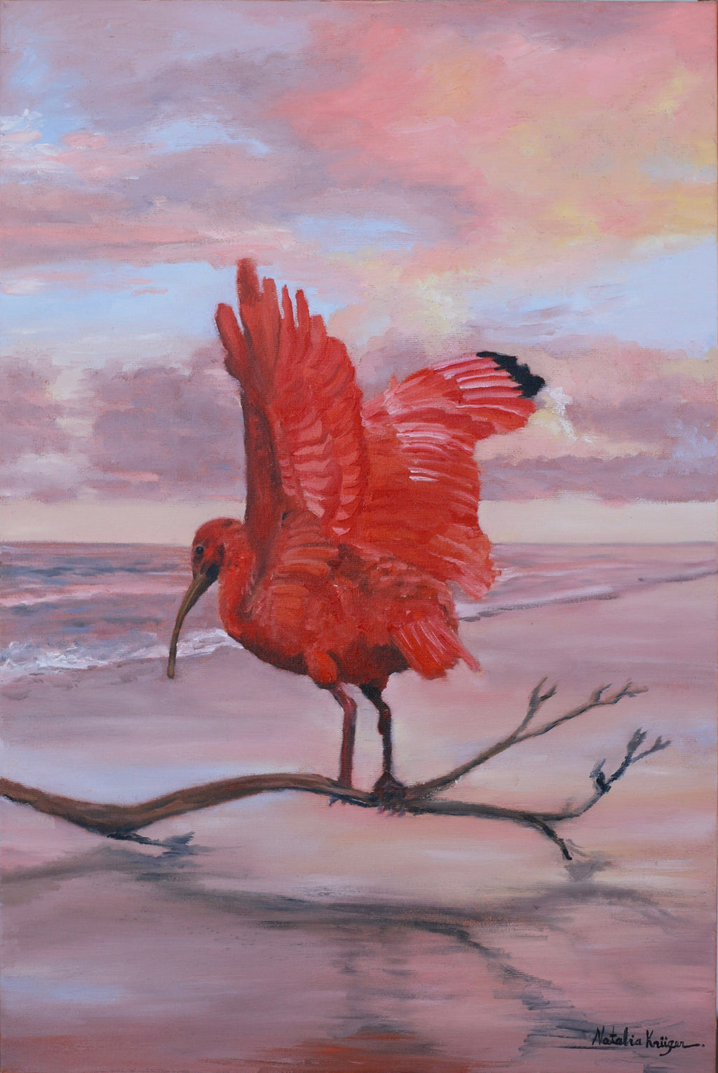 O Guará – Pice Gallery